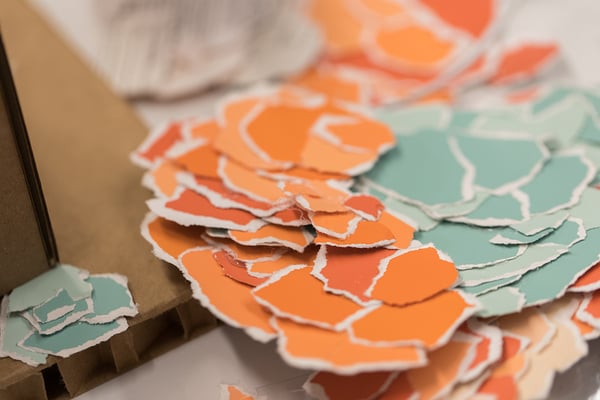 Case Study: Janovic Colors NYC