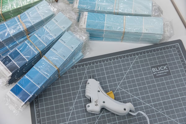 Case Study: Janovic Colors NYC